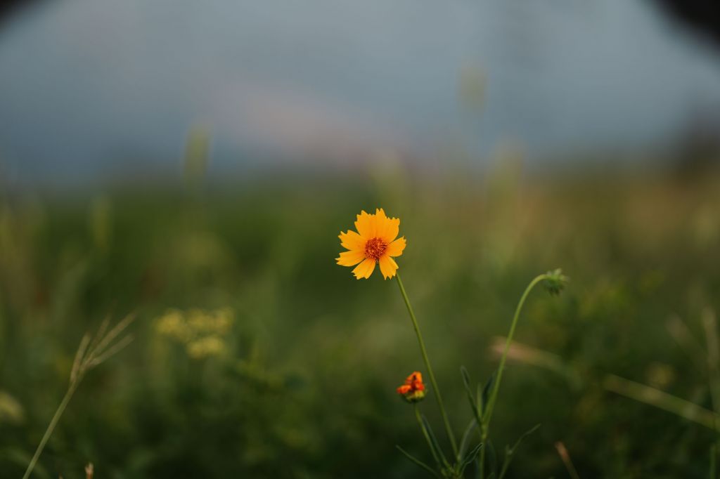 摄影真的让人入迷。。一个月不到，直接让我魔兽afk了 NGA玩家社区