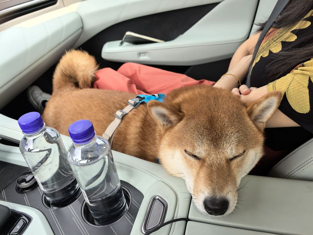 昨天跟老婆试驾了7x后老婆看上001咯 NGA玩家社区