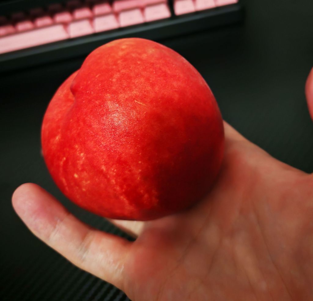 蜜桃刺客 NGA玩家社区