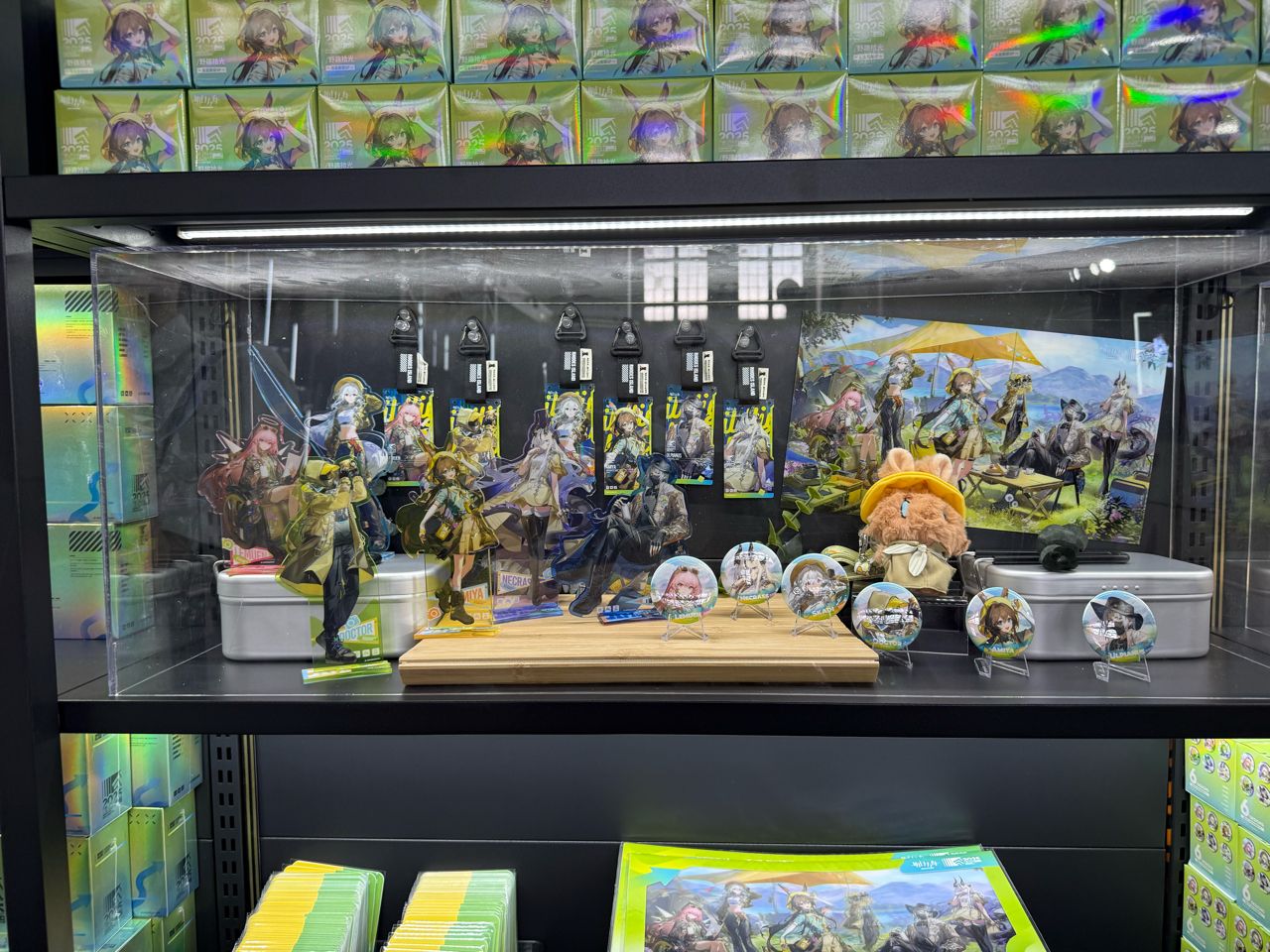 [肉鸽展氵]有没有在周边店的hxd拍拍周边陈设 NGA玩家社区