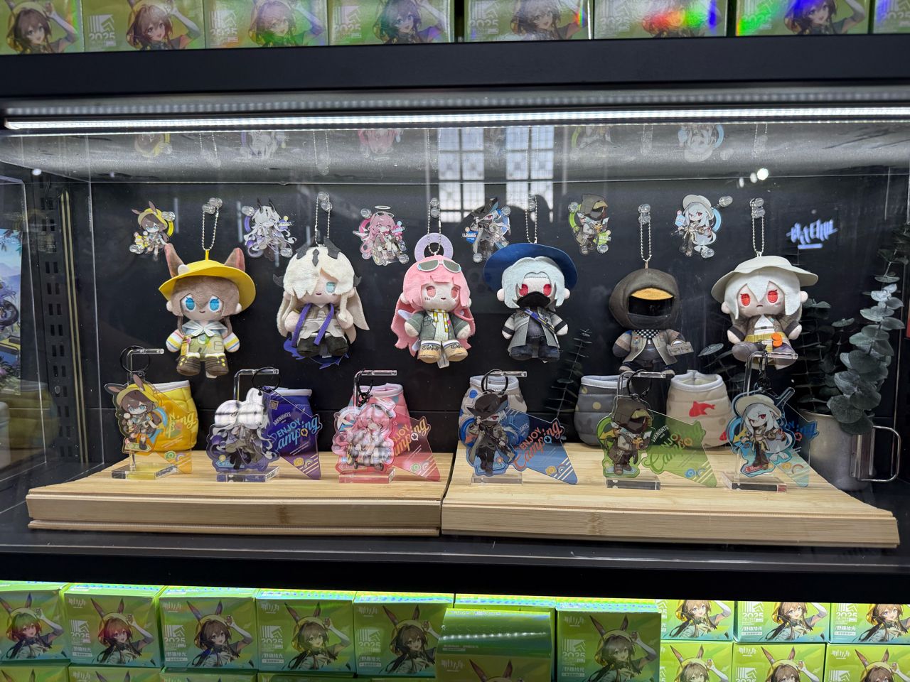 [肉鸽展氵]有没有在周边店的hxd拍拍周边陈设 NGA玩家社区