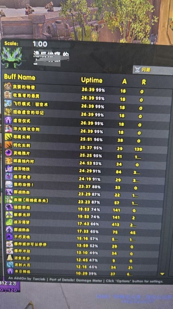 大哥们帮我看看小号dht这样的输出和buff占比对吗 NGA玩家社区