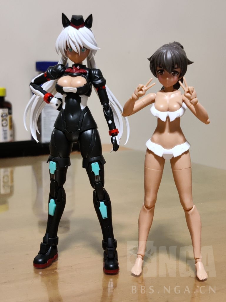 [拼装]30ms黑皮真的很骚，大家都来玩黑皮吧 NGA玩家社区