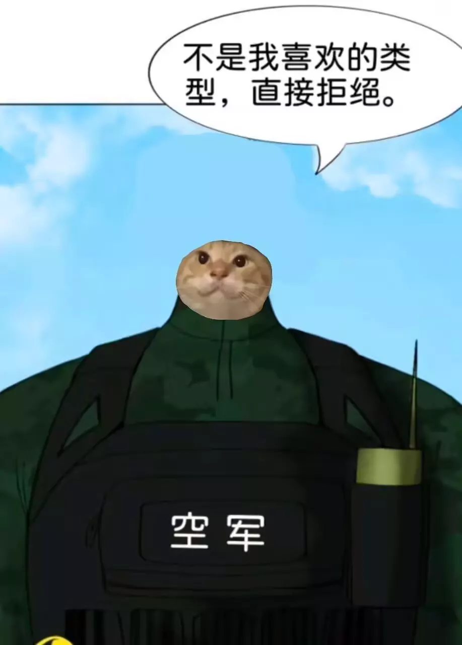 新鲜出炉的lost media NGA玩家社区