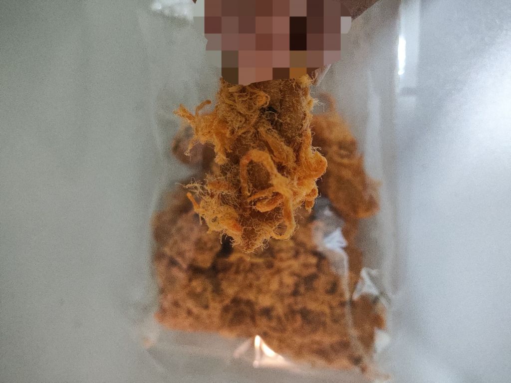 [专楼] [vup] “Mr.Quin”交流讨论帖 NGA玩家社区