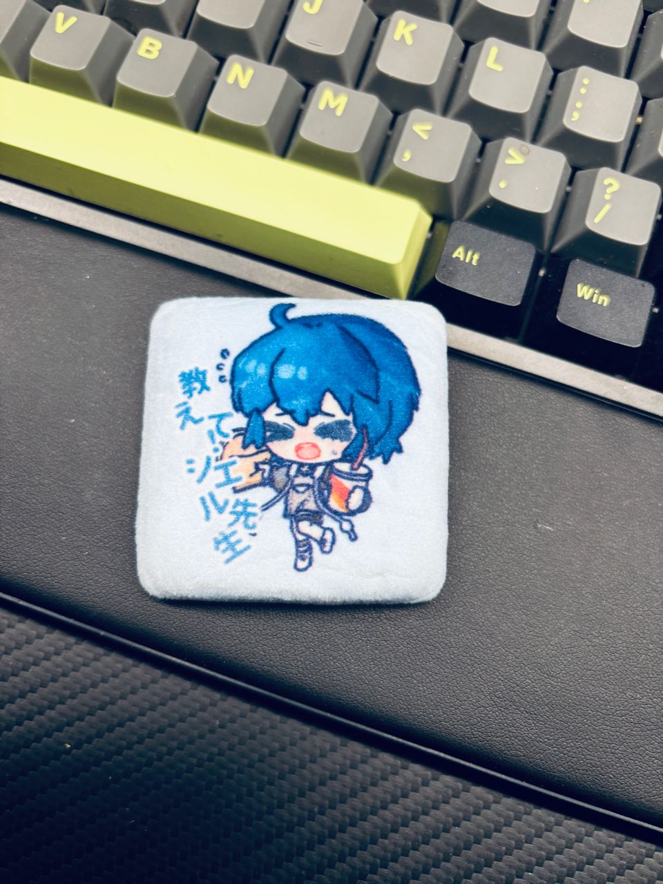 [理性蒸发A+]做了点希耶尔和有珠的周边在fes发 178