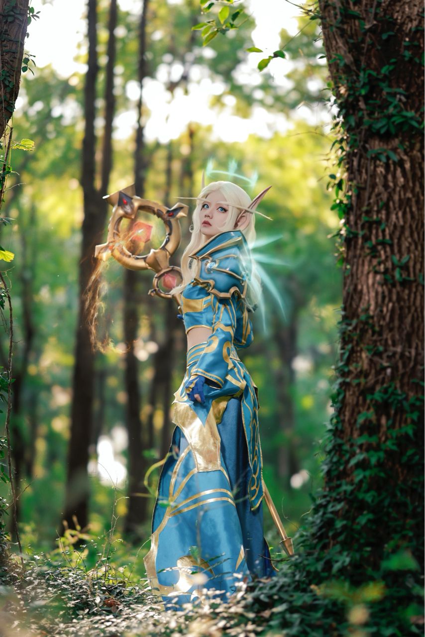 [魔兽世界] 永歌森林里的血精灵T3牧师 NGA玩家社区