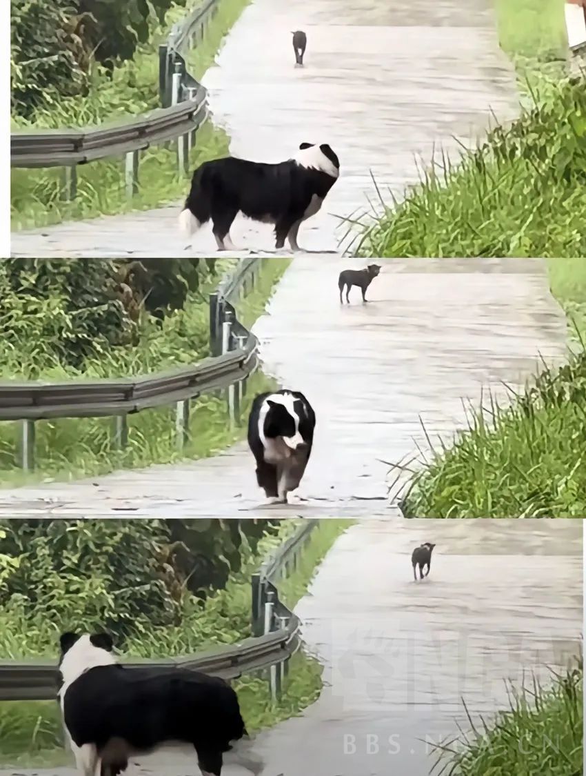 [破事氵] 弗漂剧情BE LIKE NGA玩家社区