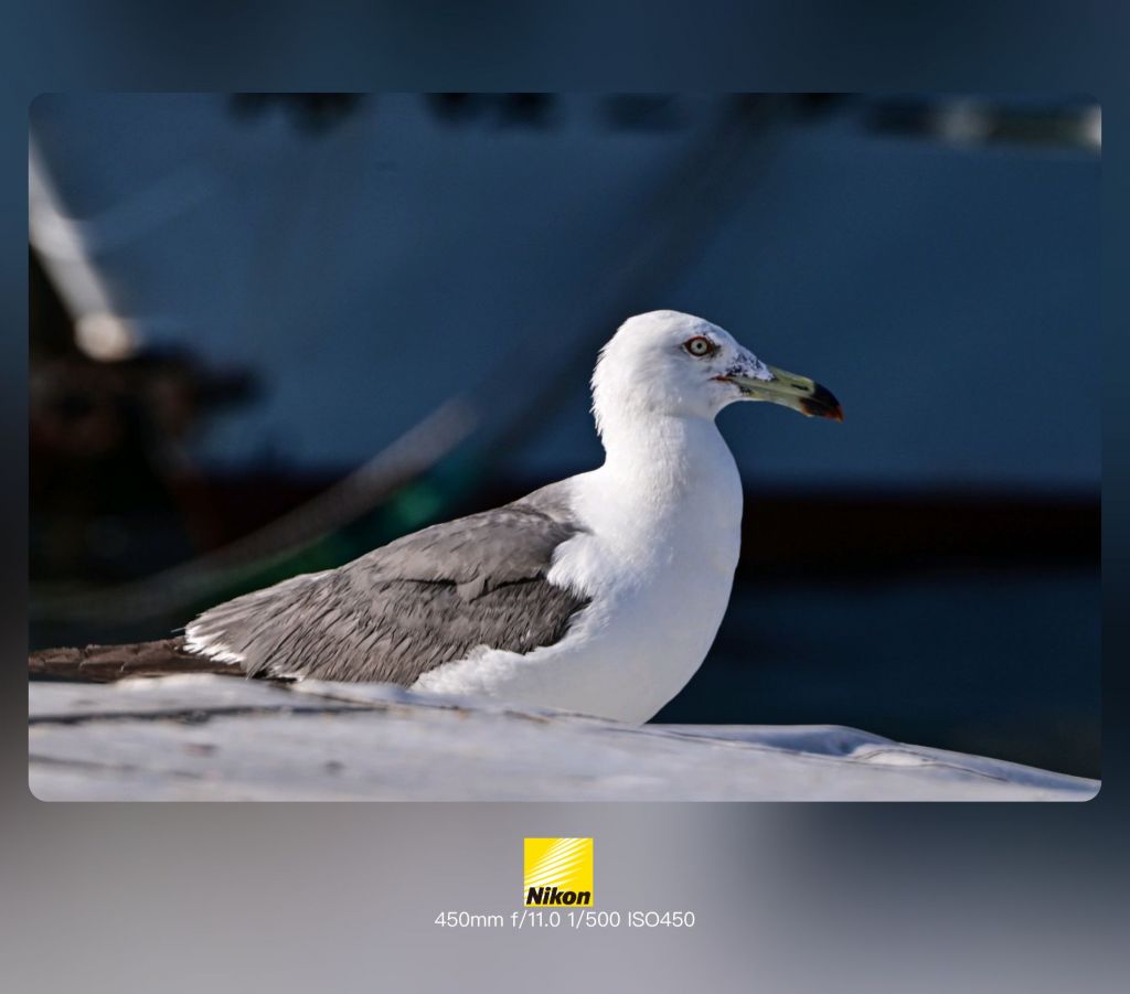 Z口还是f口转接 NGA玩家社区