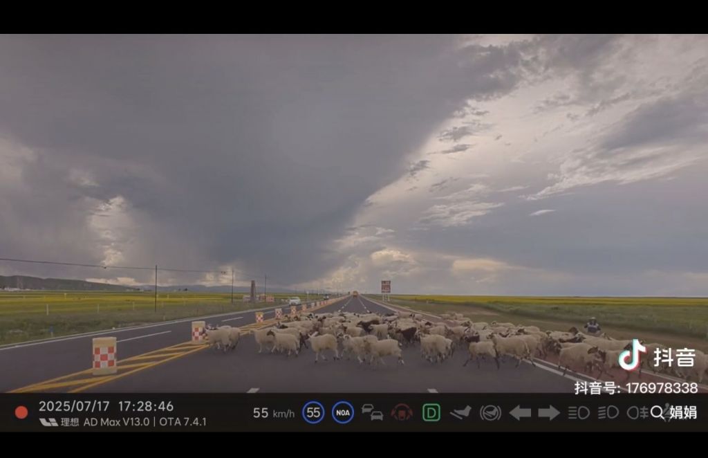 看了懂车帝智驾测试，决定选没有智驾的理想L6 Pro了 NGA玩家社区