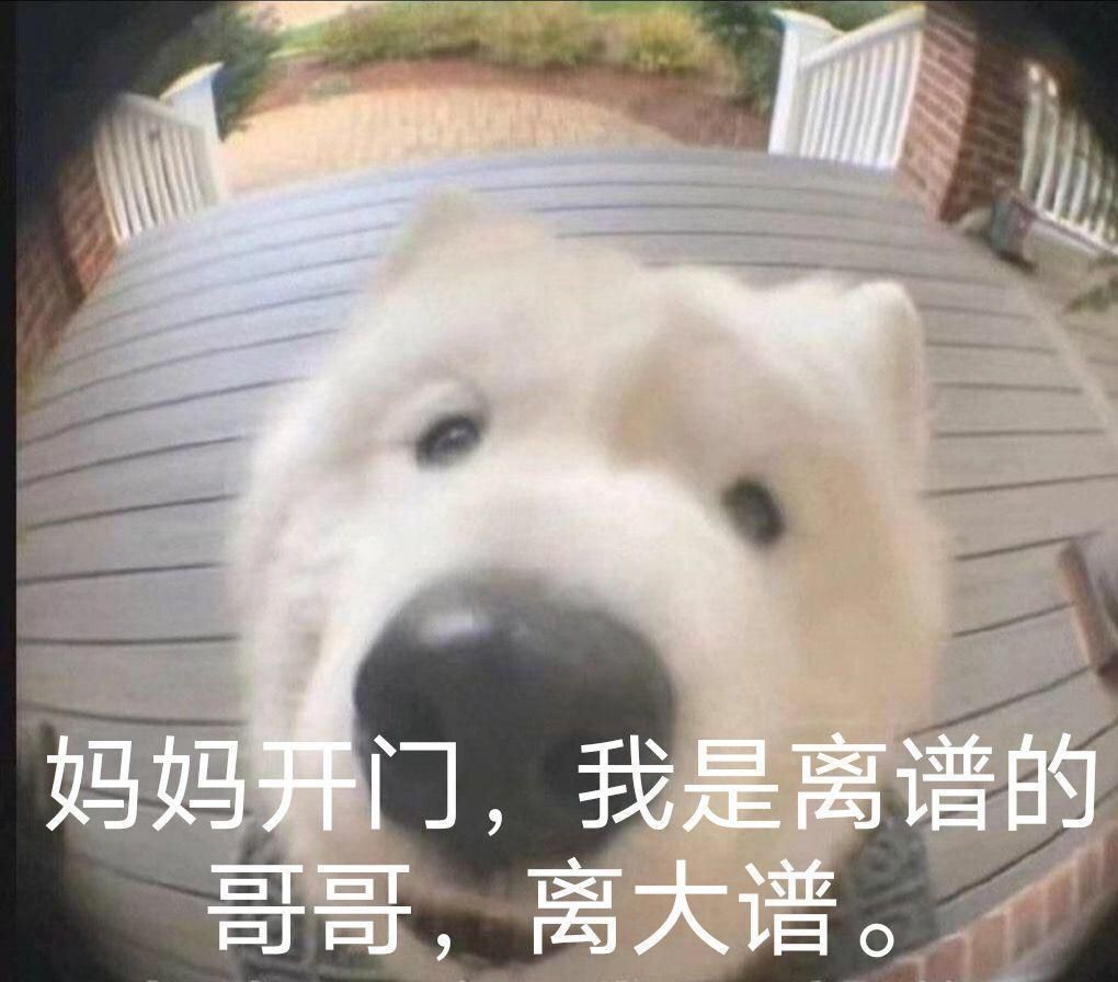 win11输入法是不是有问题？ 178