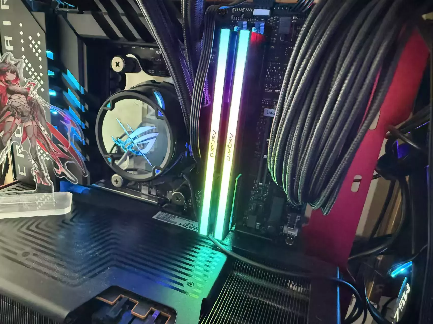 [ROLL / 已开奖] roll一对阿斯加特瓦尔基里DDR5 32G灯条(已开奖) NGA玩家社区