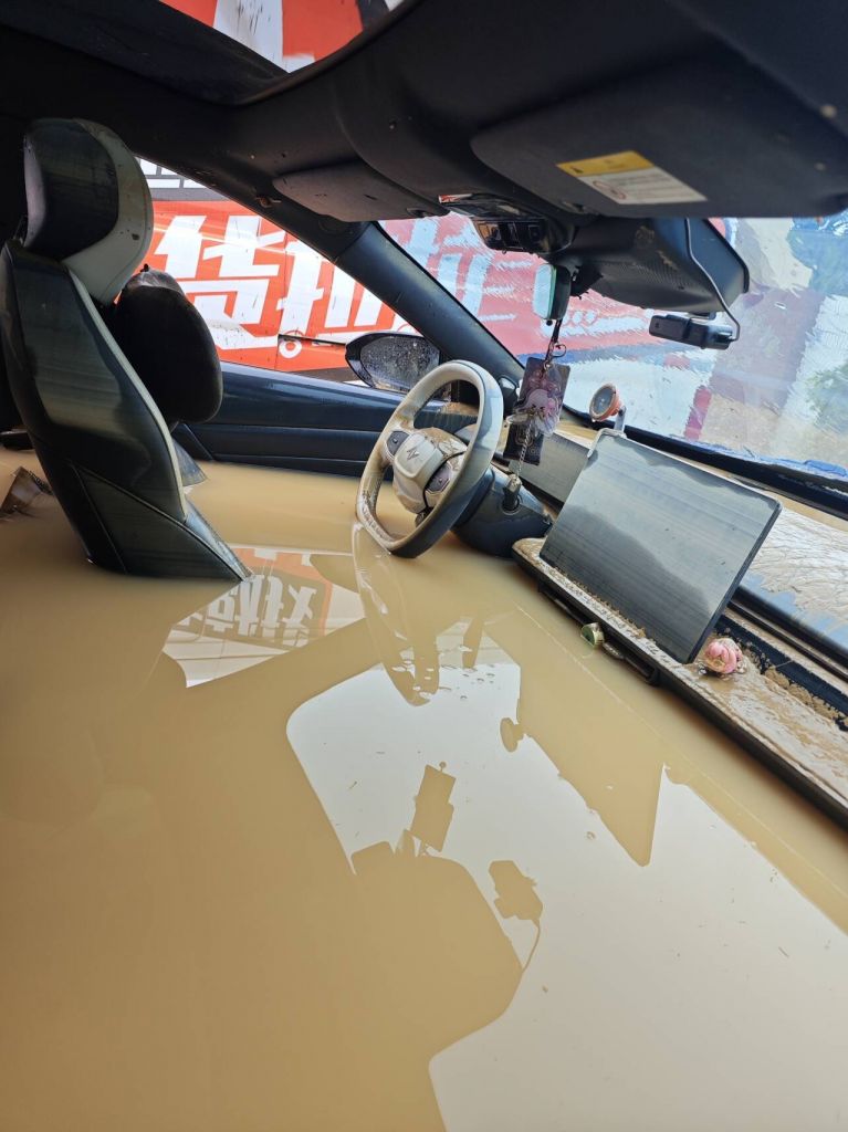 推上看到的 无敌的doro被洪水淹了 178