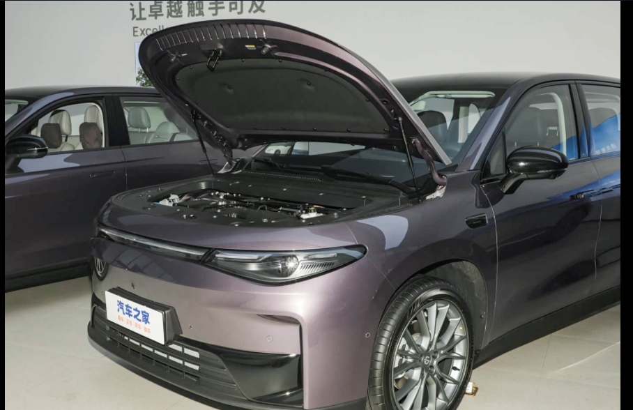 发帖防一血 零跑C10提车了 NGA玩家社区