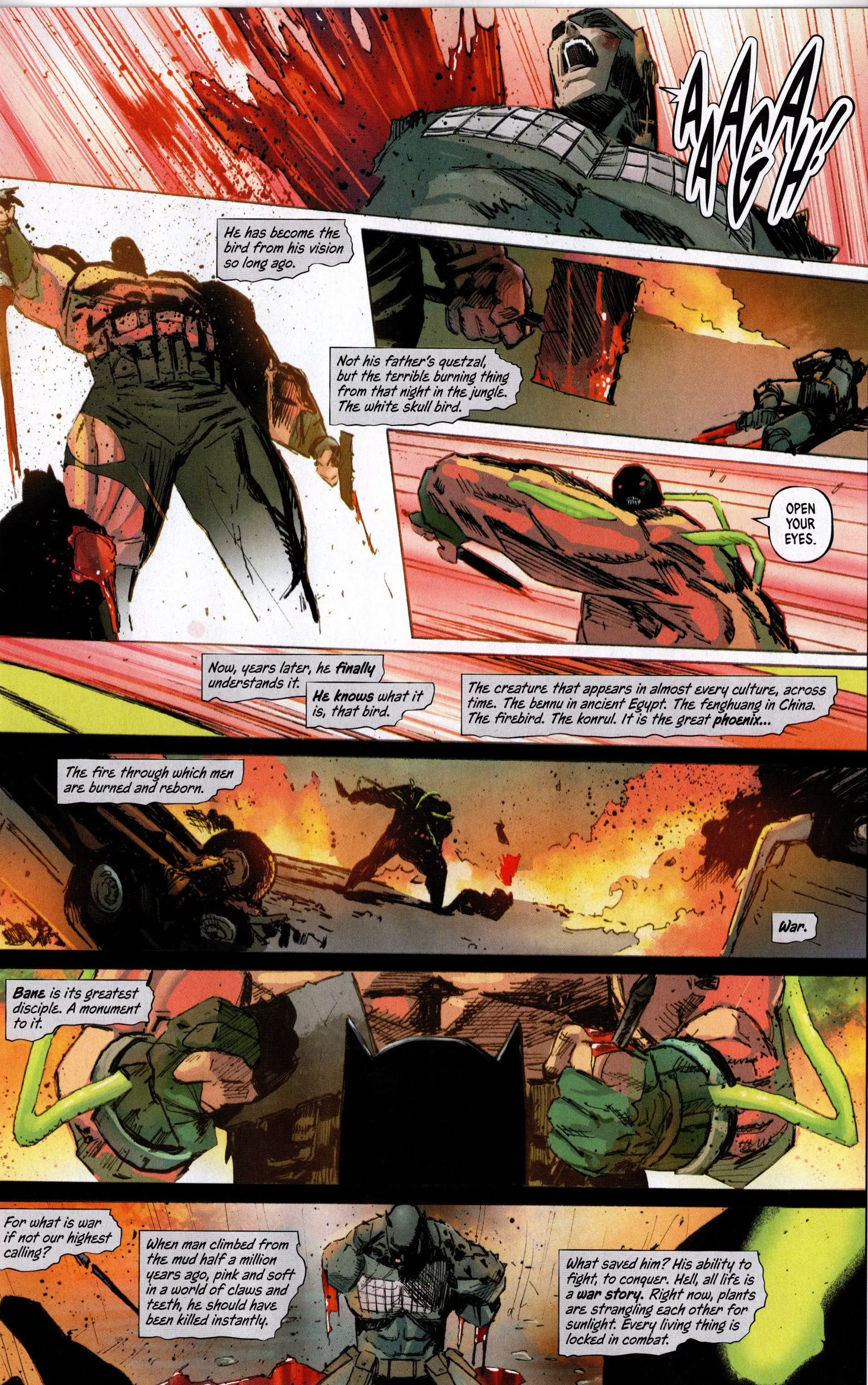 [美漫氵]绝对蝙第十一期，tmd阿福，想象力那么好做什么了 NGA玩家社区