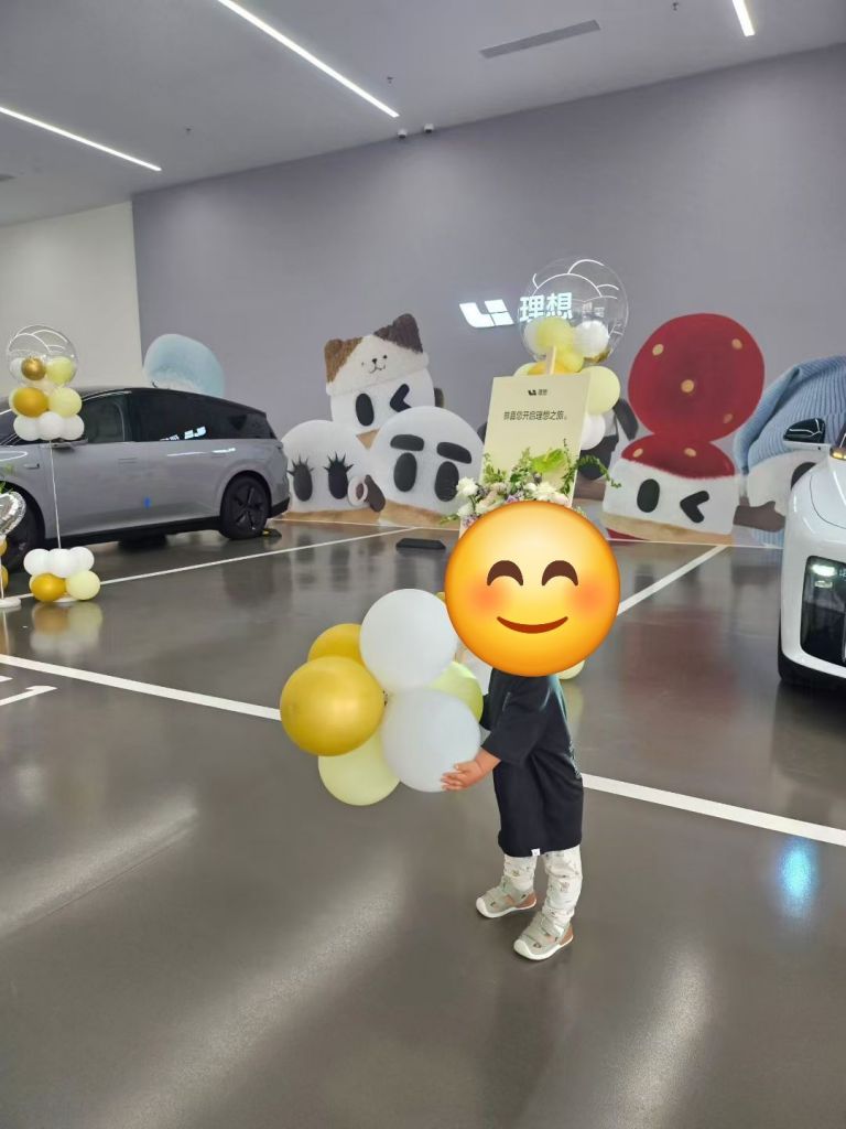 理想i8提车 防123456789血 NGA玩家社区