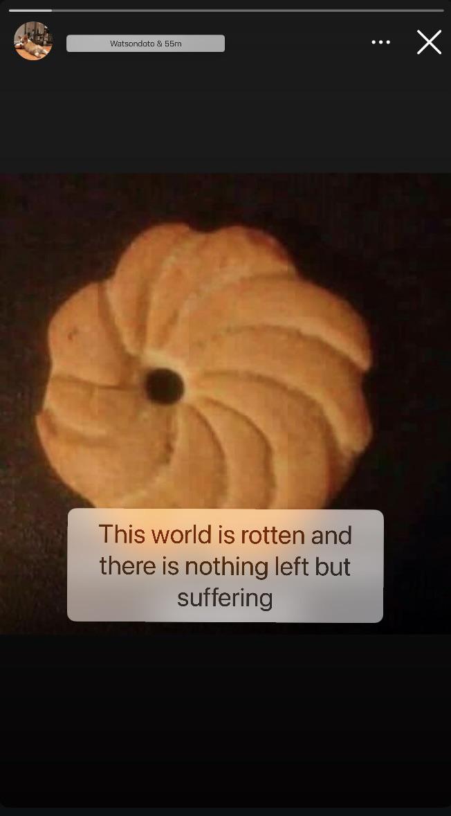 华生ins故事 NGA玩家社区