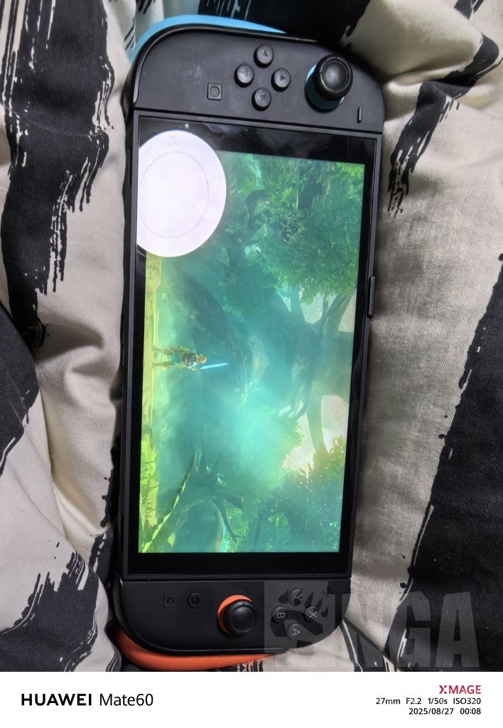 [吐了个槽] 想着NS2重游野炊，补了个dlc，剑之试炼玩的汗流浃背 178