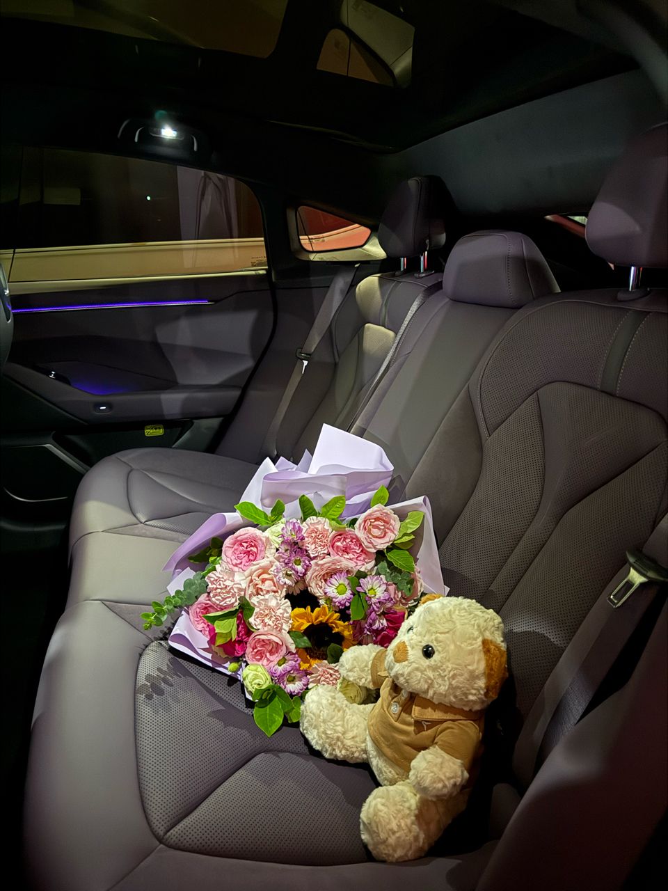 小鹏新P7四驱紫内紫外提车作业，防12345678N血 NGA玩家社区