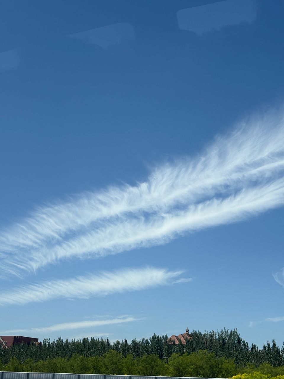 心心念念的星界触须 NGA玩家社区