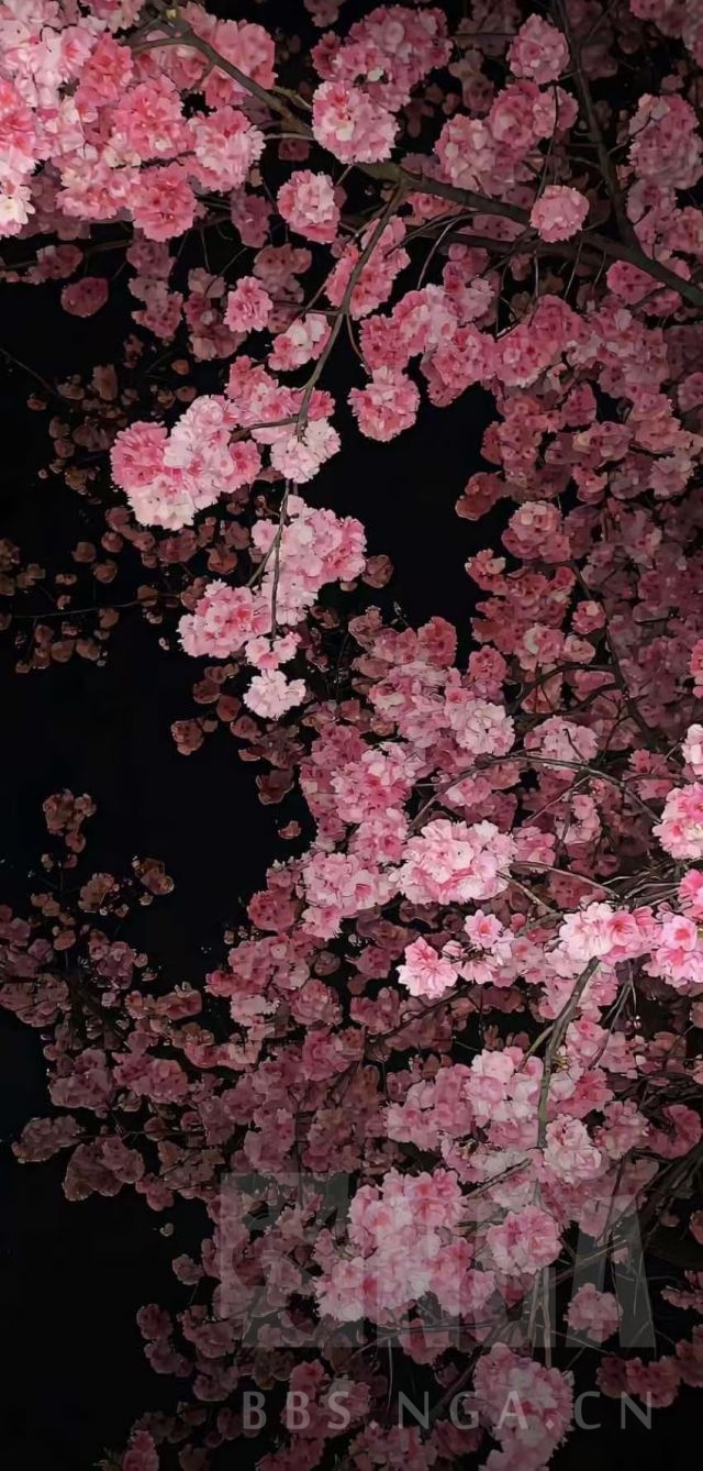 万能的nga求这张的高清版 178