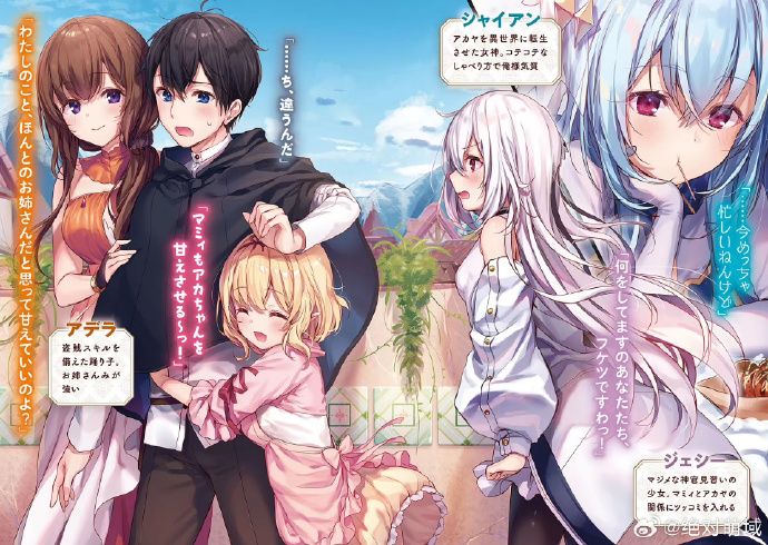 轻小说[在异世界被萝莉溺爱是错误的吗] 178