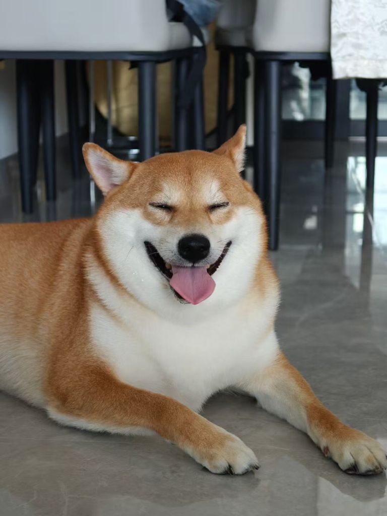 大佬们 dz dh哪个比较简单 NGA玩家社区