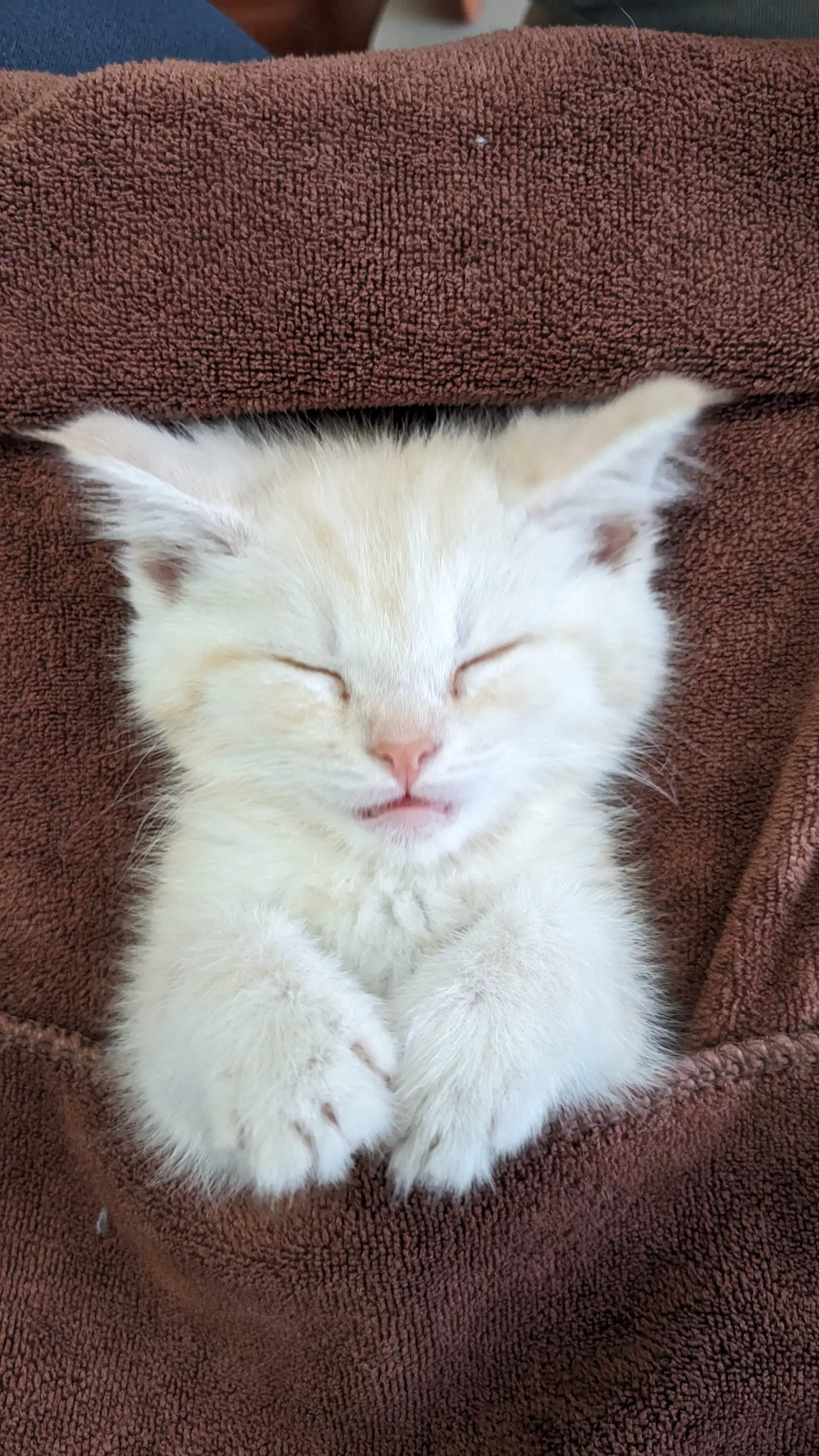 睡姿独特 NGA玩家社区