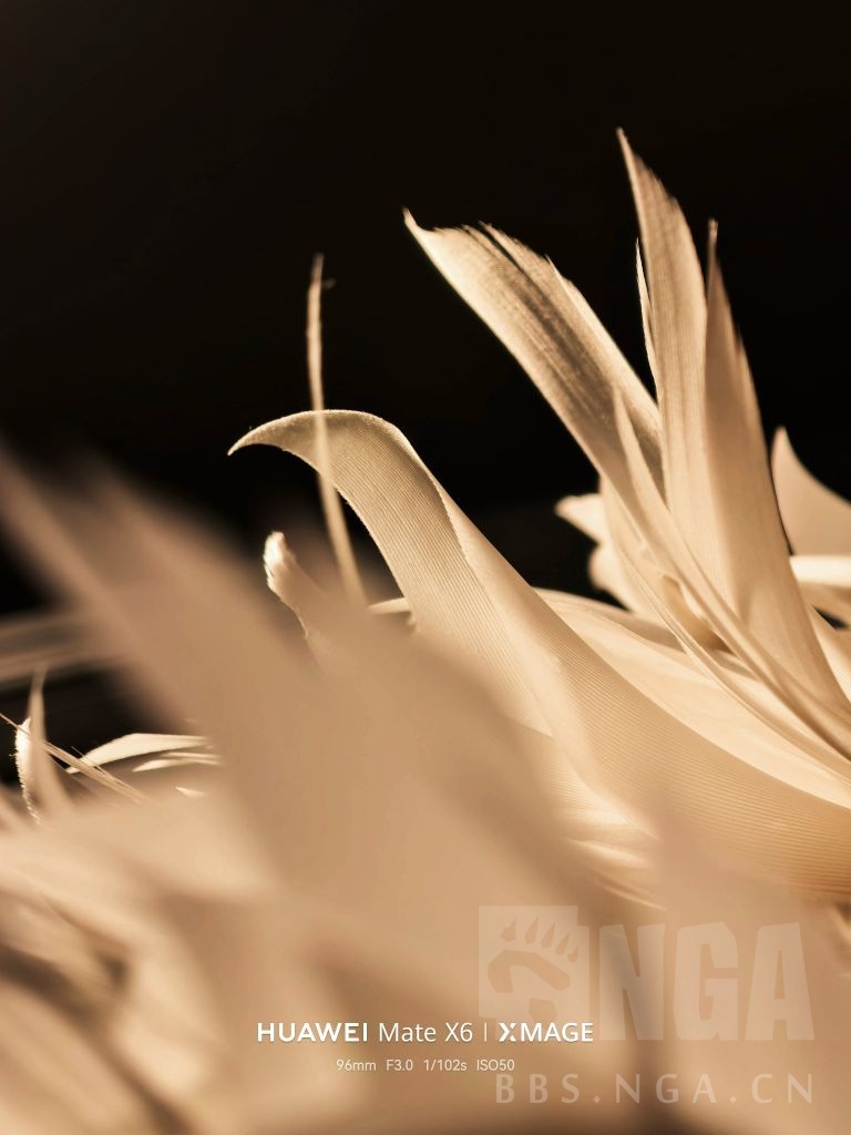 MateX6随便拍了几张照片 NGA玩家社区