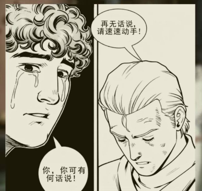 总而言之，言而总之，苦命鸳鸯zsbd NGA玩家社区