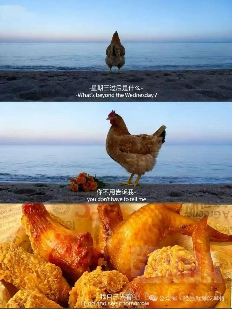 v50 征集最精彩的 v50 文案 NGA玩家社区