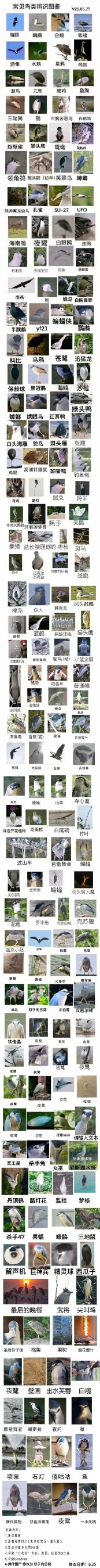 夜鹭是什么梗？ NGA玩家社区