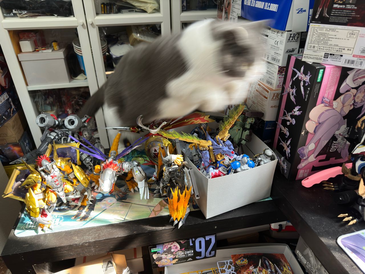 [拼装]模型和猫也不是不能兼容的.jpg NGA玩家社区