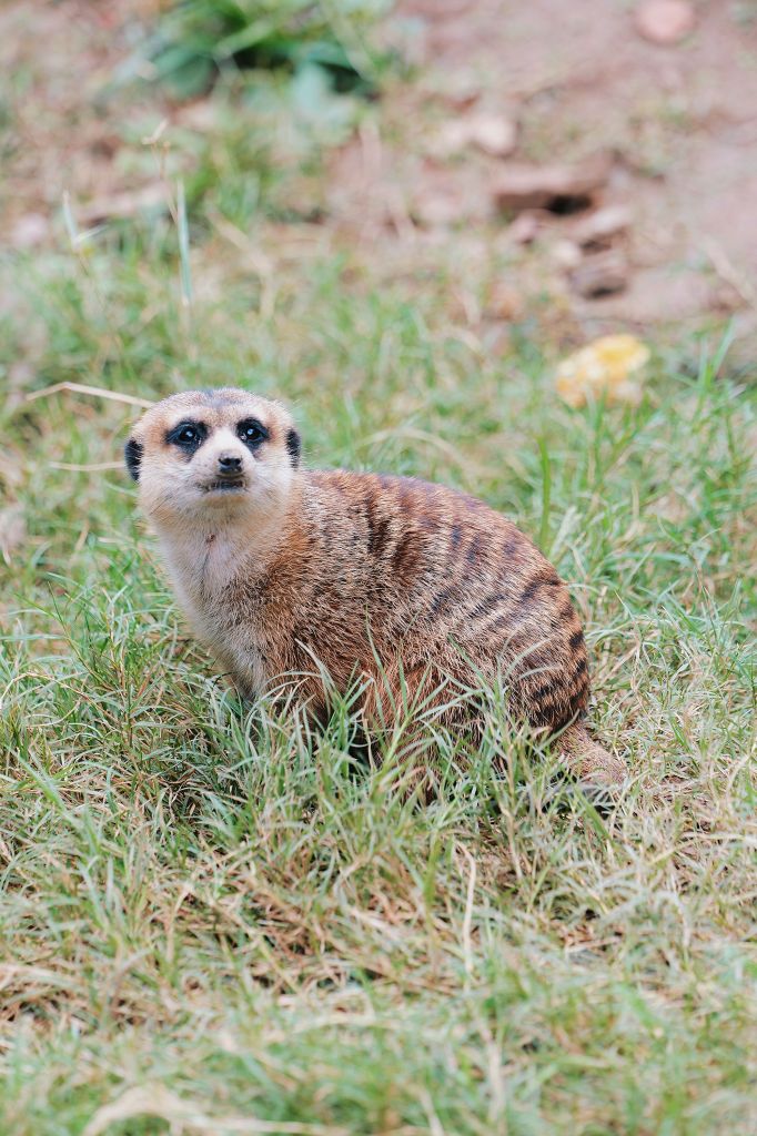 新手S5M2照片分享～ NGA玩家社区