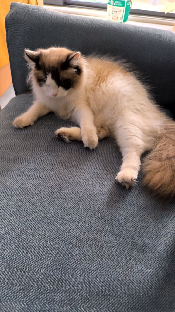 itx更换显卡之后点不亮，求助 NGA玩家社区