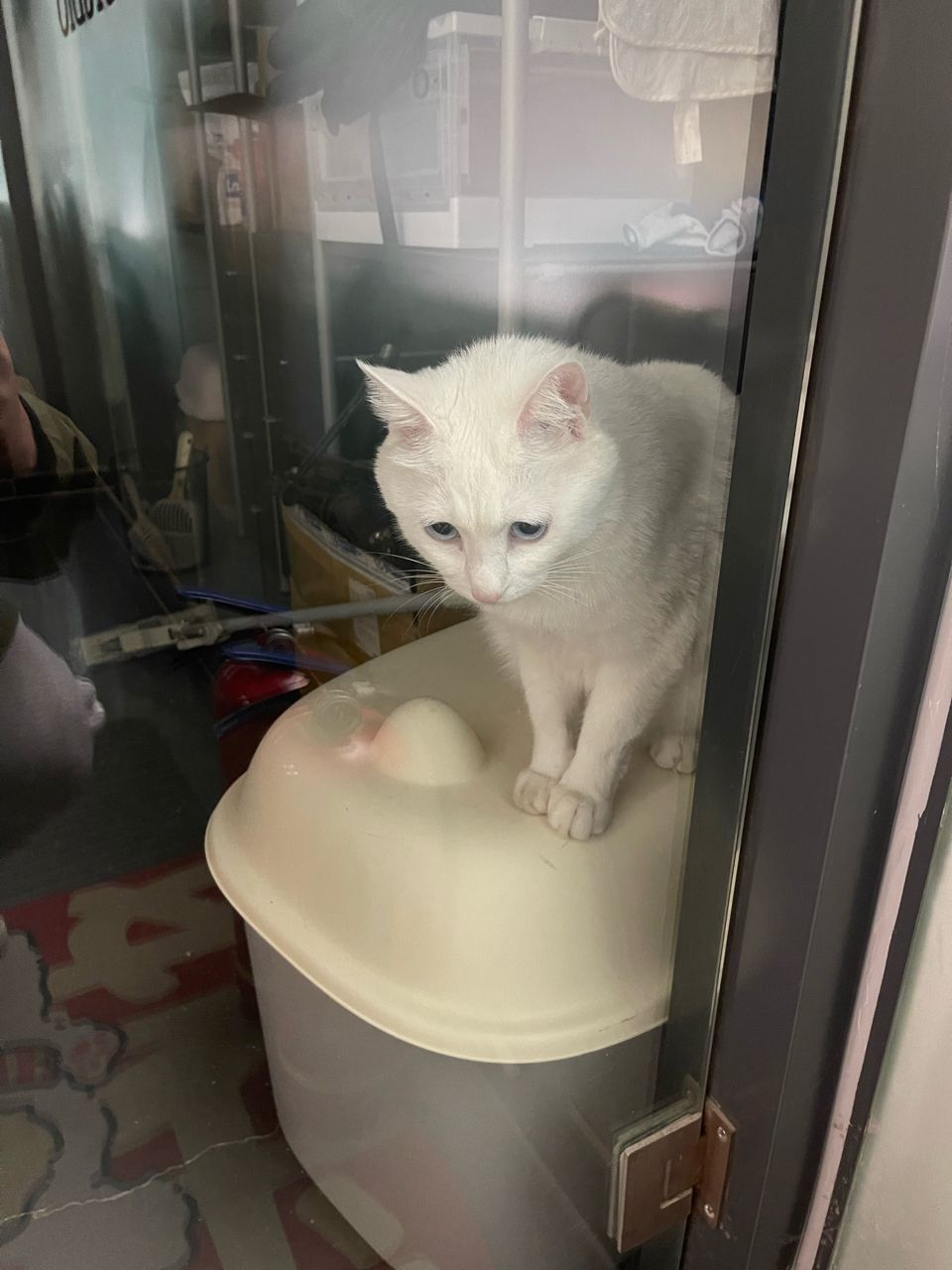 [本赛区赛事]al是不是后悔续约太早了啊 NGA玩家社区