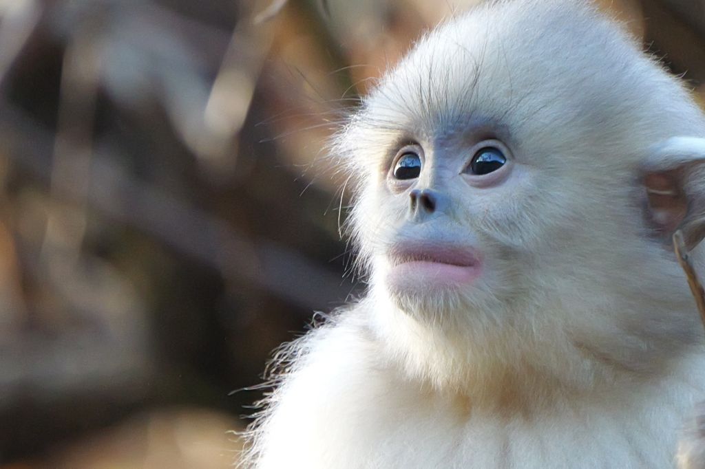 想从s9升级了……(闪光灯和星空) NGA玩家社区