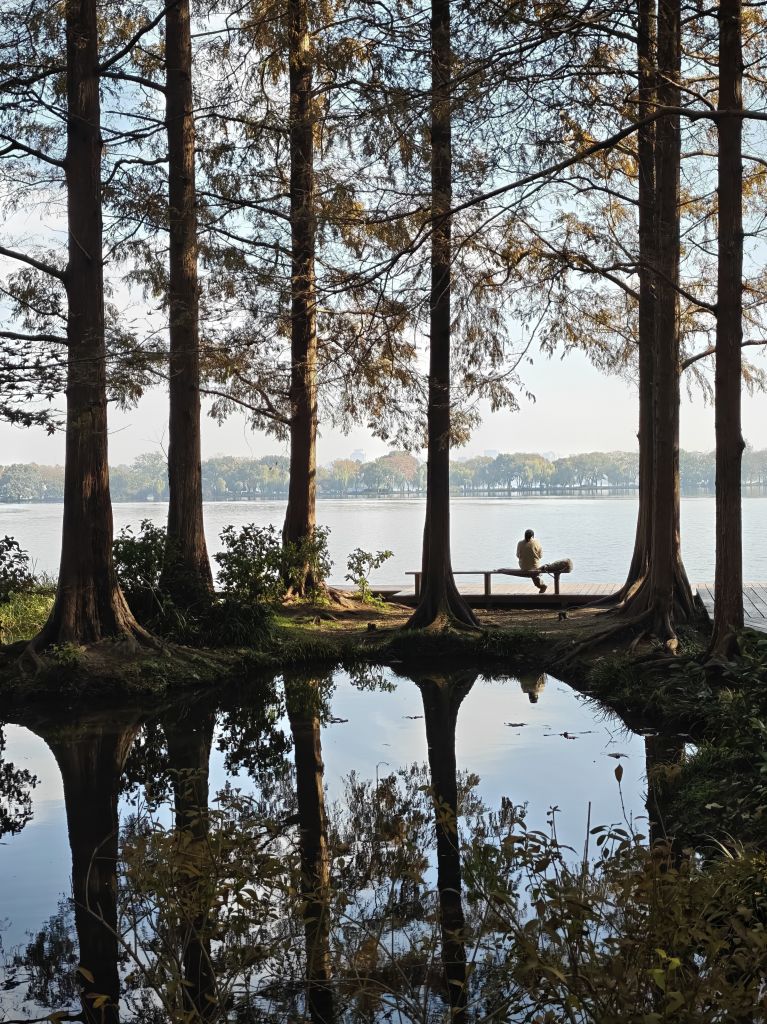 小米17Pro Max的调色有点说法的 NGA玩家社区