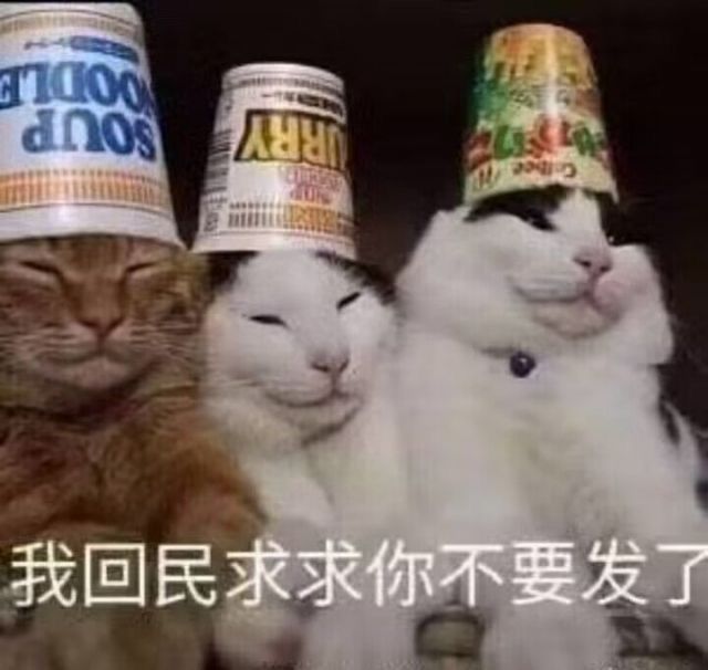 哀绿这是被洋人男朋友抛弃了又滚回国内发展了吗 NGA玩家社区