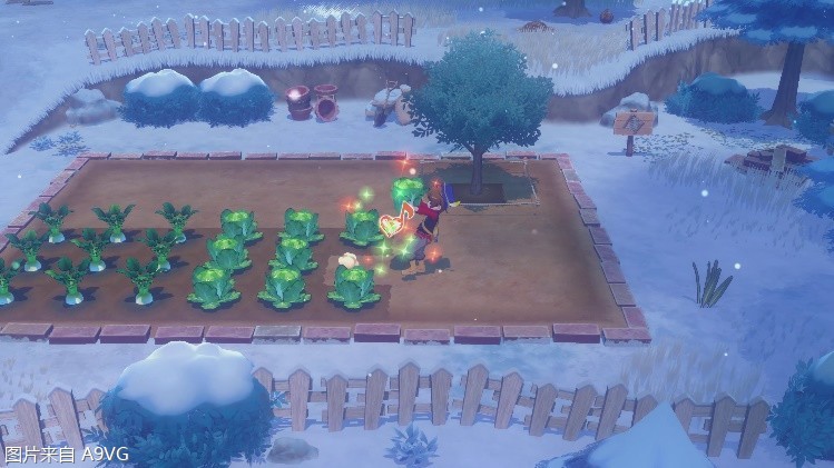 [A9VG]《牧场物语 来吧!风之繁华集市》今日正式发售! 2025-08-28 10:06:31 NGA玩家社区